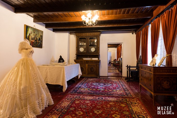 Casa Memorială „Costache Negri" — Muzee de la sat