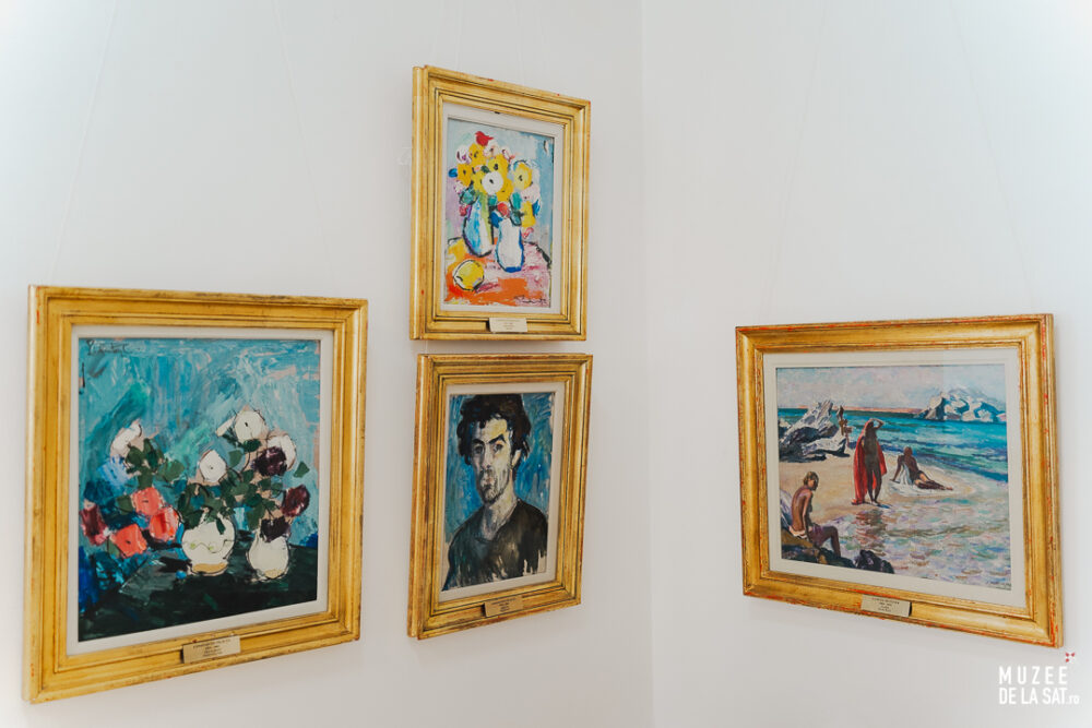 Muzeul de Artă „Dinu și Sevasta Vintilă” - Tur 3D - Muzee de la sat